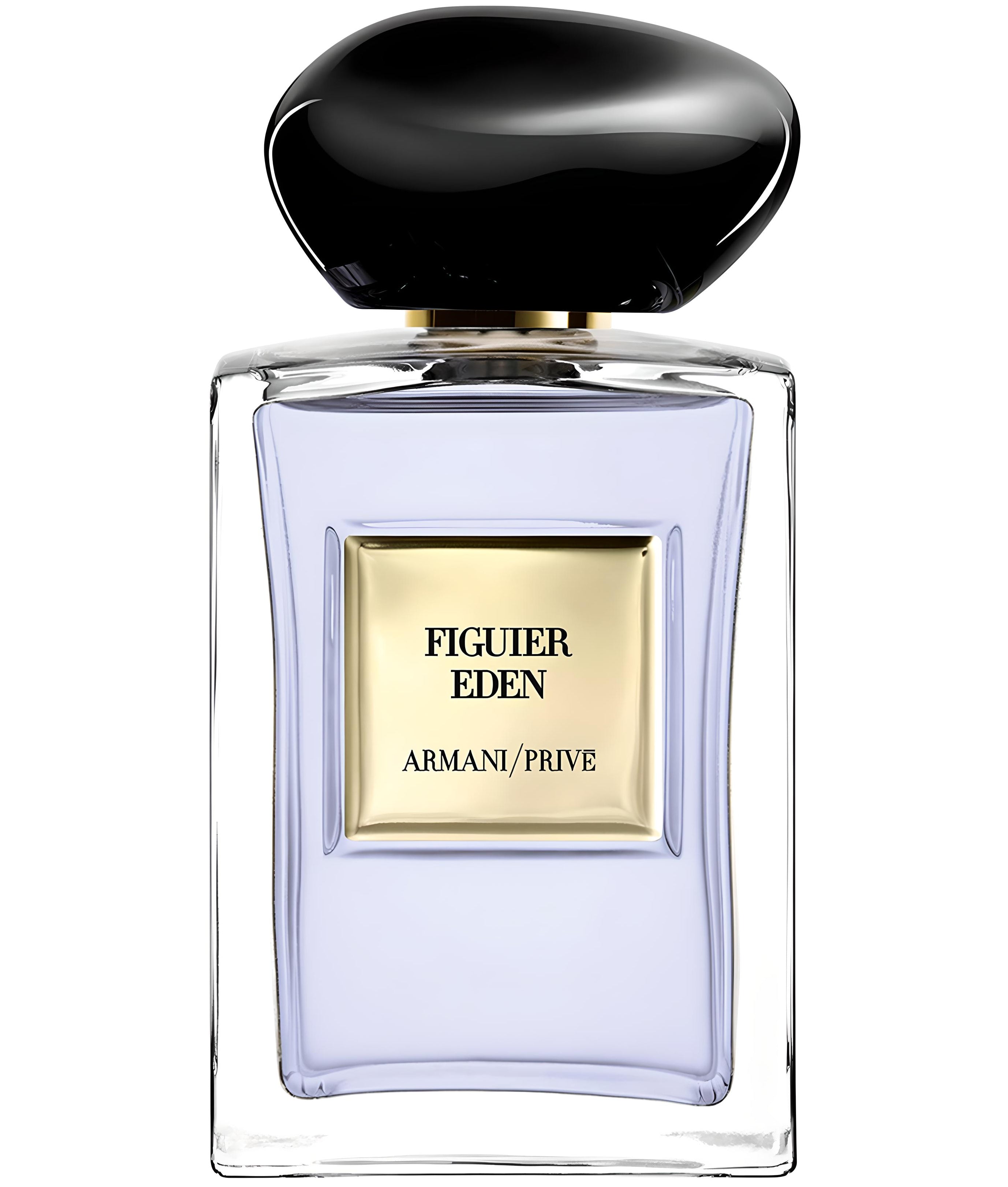 FIGUIER EDEN DECANT - GIORGIO ARMANI | PERFUMES DE LUJO ACCESIBLES ...