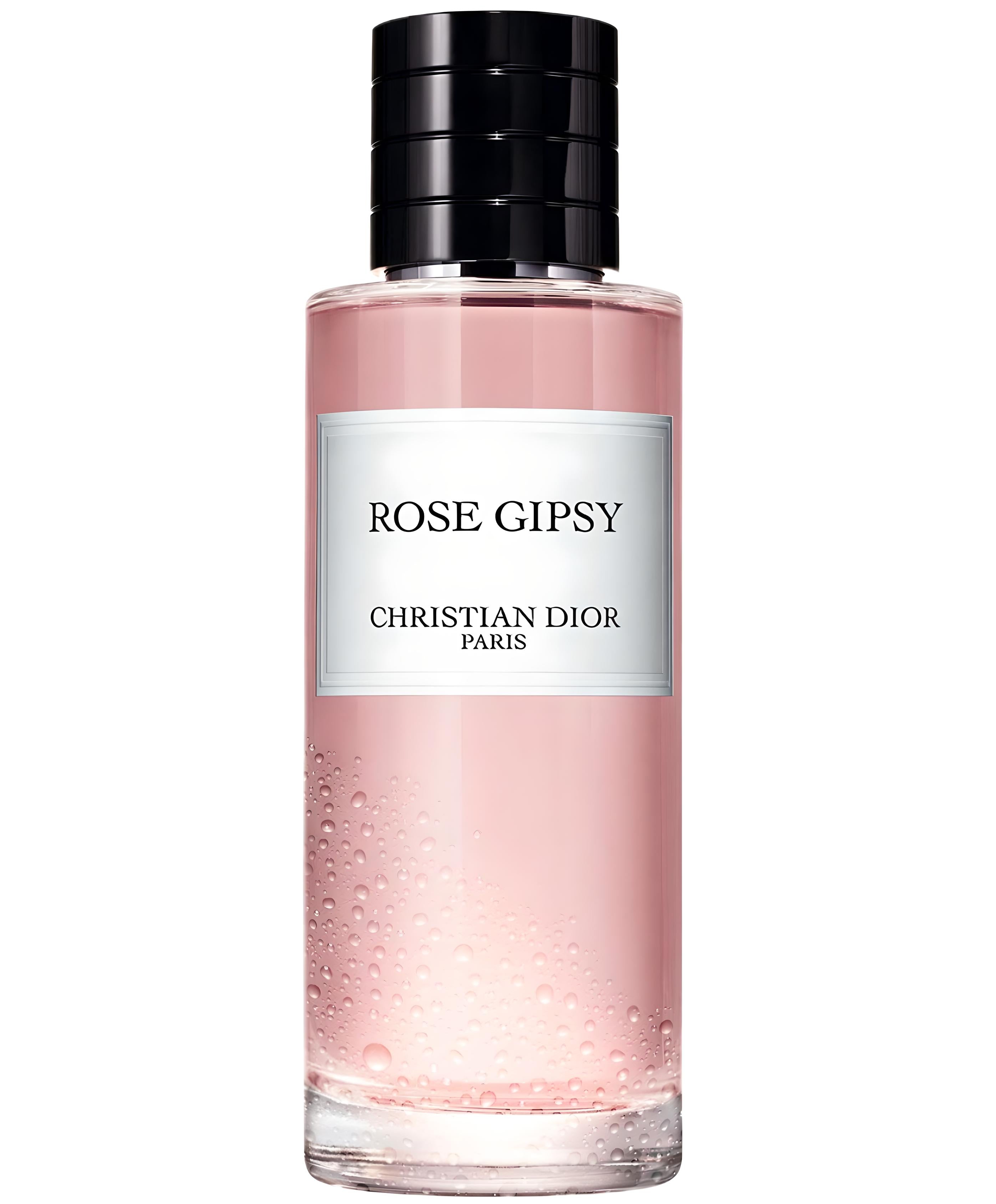 ROSE GIPSY DECANT - DIOR | PERFUMES DE LUJO ACCESIBLES – ABSCENTS